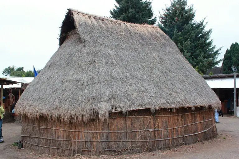 RUCA MAPUCHE » Una expresión arquitectónica de la cosmovisión araucana