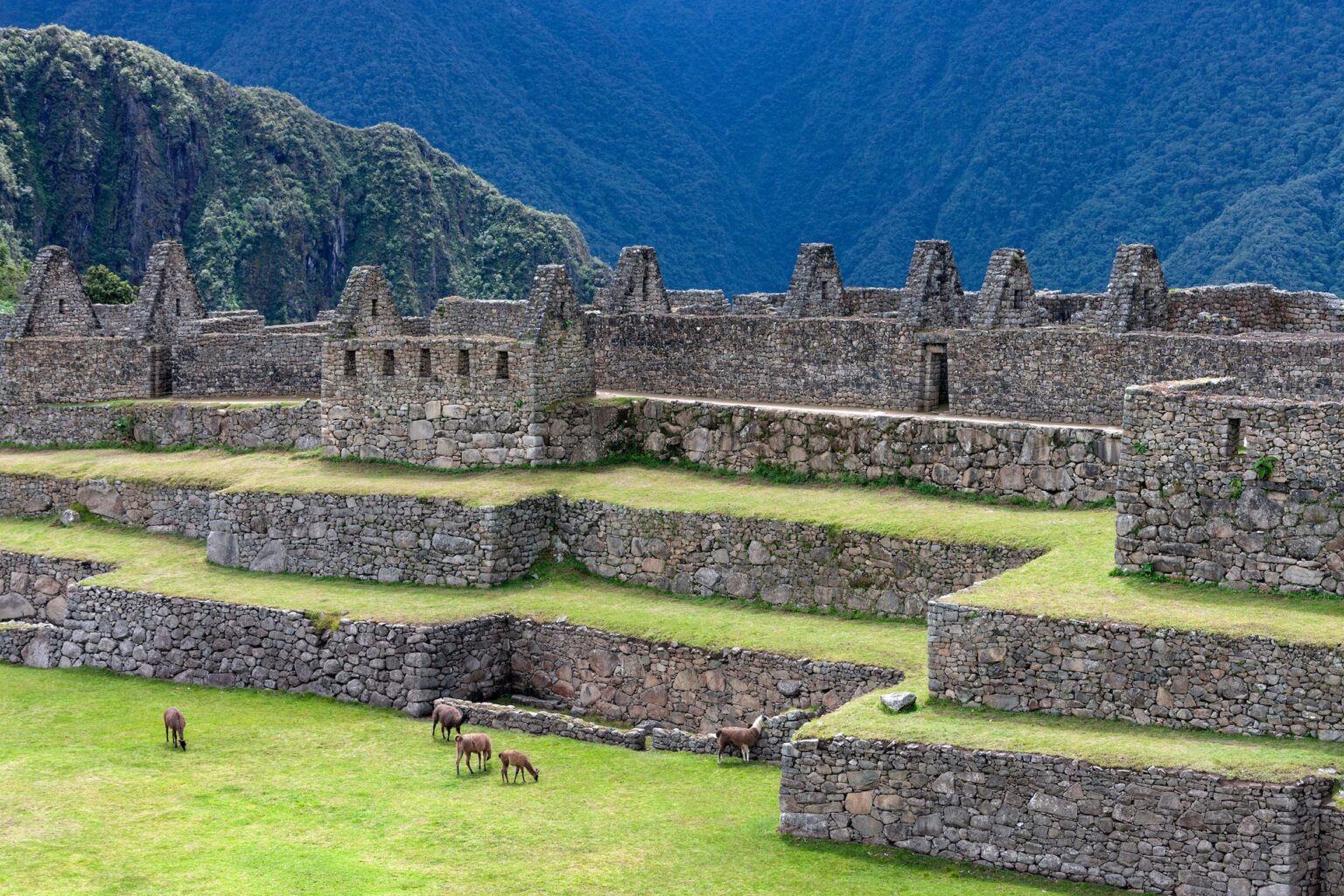 ARQUITECTURA INCA » Características de sus sencillas y sólidas ...