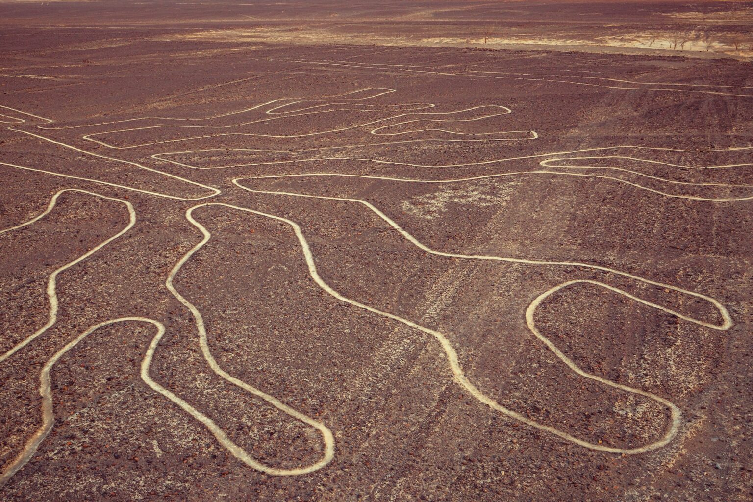 CULTURA NAZCA » Una misteriosa civilización con un interesante legado