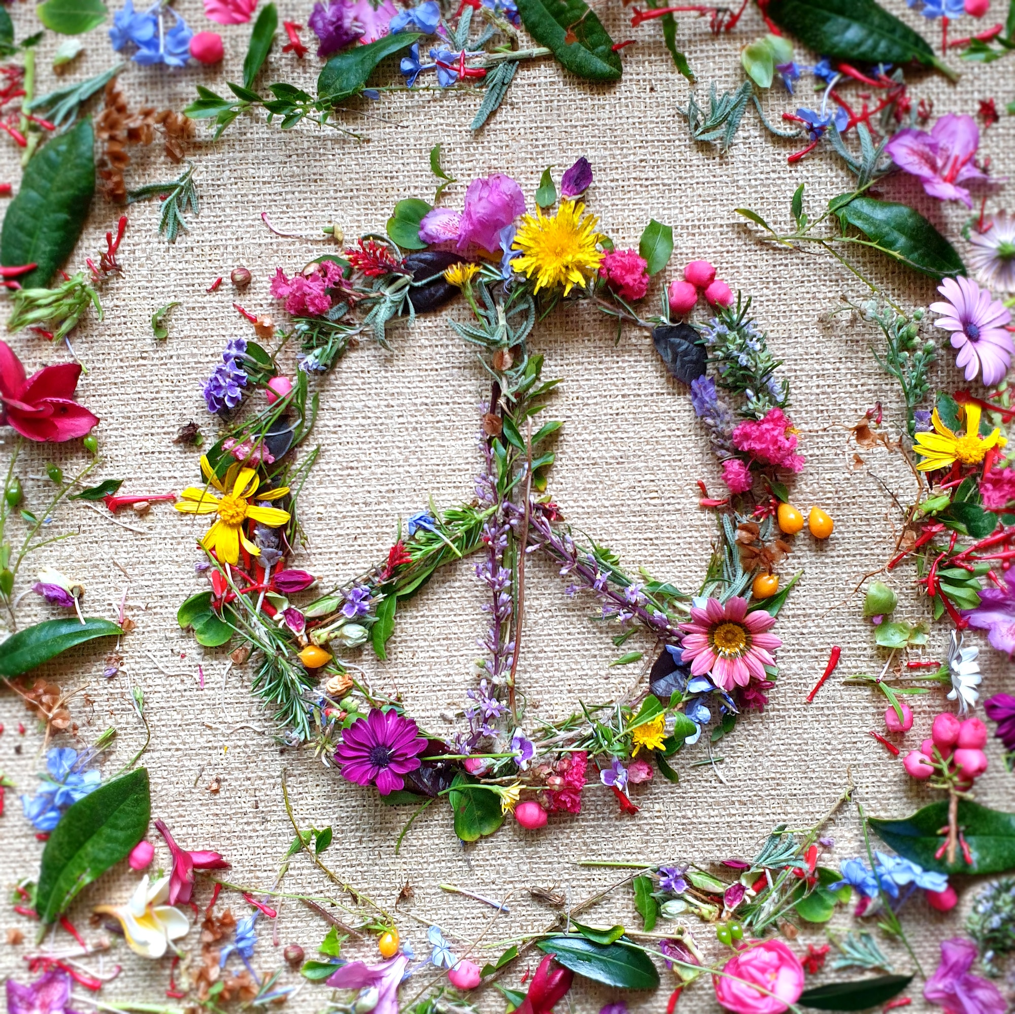 SÍMBOLOS DE PAZ » Características y funciones de estos emblemas